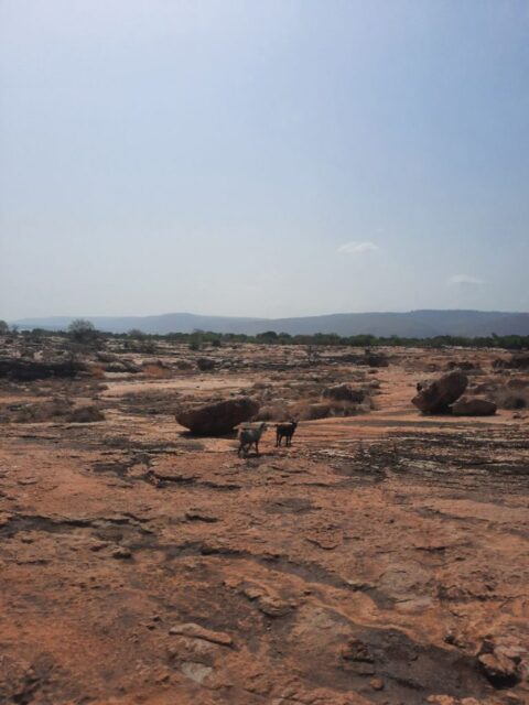 Explore Kwahu: More Than Just Paragliding in the Kwahu Mountains During ...